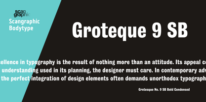 Grotesque No. 9 SB Font | Webfont & Desktop | MyFonts