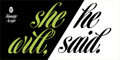 Homage Script Font | Webfont & Desktop | MyFonts