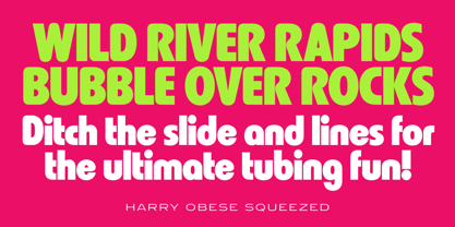 Harry Pro Font | Webfont & Desktop | MyFonts
