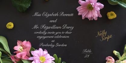 Nelly Script Font | Webfont & Desktop | MyFonts