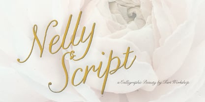 Nelly Script Font | Webfont & Desktop | MyFonts