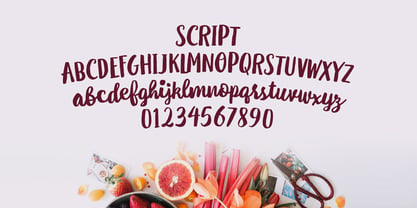 Le Gourmet Font | Webfont & Desktop | MyFonts