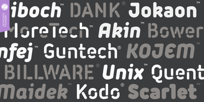 Iconic Font | Webfont & Desktop | MyFonts