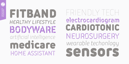 Iconic Font | Webfont & Desktop | MyFonts