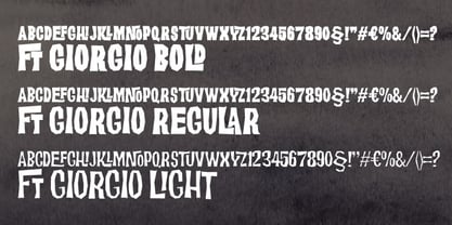 FT Giorgio Font | Webfont & Desktop | MyFonts