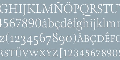Pona Display Font | Webfont & Desktop | MyFonts