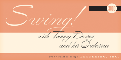 Feather Script Font | Webfont & Desktop | MyFonts