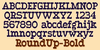 Roundup Font | Webfont & Desktop | MyFonts