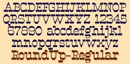 Roundup Font | Webfont & Desktop | MyFonts