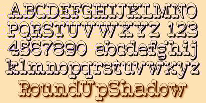 Roundup Font | Webfont & Desktop | MyFonts
