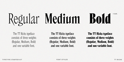 TT Ricks Font | Webfont & Desktop | MyFonts