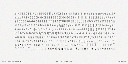 TT Ricks Font | Webfont & Desktop | MyFonts