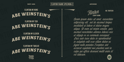 RTCO Flinton Font | Webfont & Desktop | MyFonts
