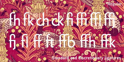 Neue Latein Font | Webfont & Desktop | MyFonts