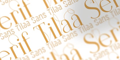 Tilaa Font | Webfont & Desktop | MyFonts