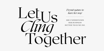 Roxborough CF Font | Webfont & Desktop | MyFonts