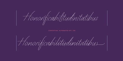 TCF Plana Font | Webfont & Desktop | MyFonts