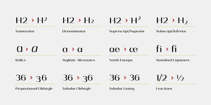 Istanbul Type Font | Webfont & Desktop | MyFonts