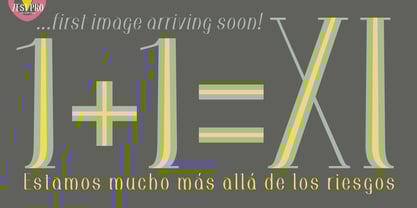 Zest Pro Font | Webfont & Desktop | MyFonts