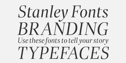 Liet Display Font | Webfont & Desktop | MyFonts