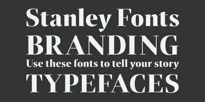 Liet Display Font | Webfont & Desktop | MyFonts