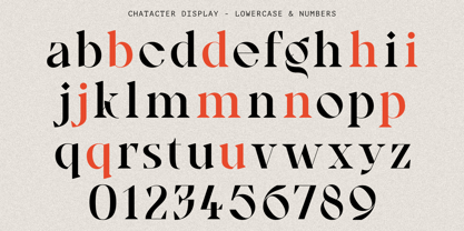 Archer Display Font | Webfont & Desktop | MyFonts