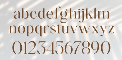 Resita Font | Webfont & Desktop | MyFonts