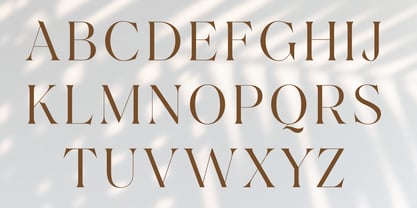 Resita Font | Webfont & Desktop | MyFonts