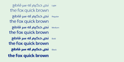 Shaheen pro Arabic Font | Webfont & Desktop | MyFonts