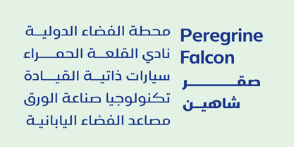 Shaheen pro Arabic Font | Webfont & Desktop | MyFonts