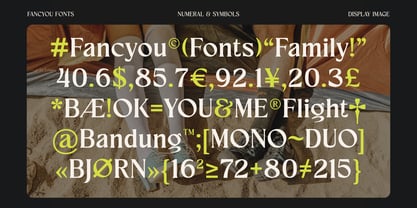 Fancyou Font | Webfont & Desktop | MyFonts