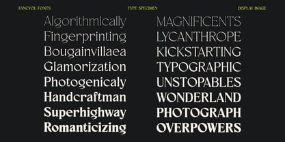Fancyou Font | Webfont & Desktop | MyFonts