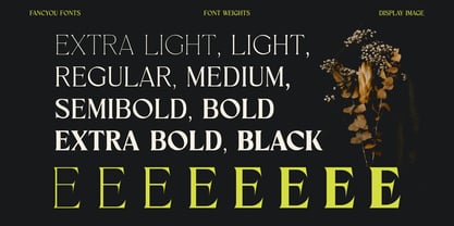 Fancyou Font | Webfont & Desktop | MyFonts