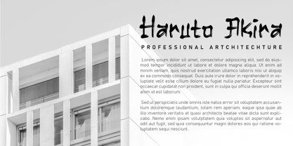 Akashii Font | Webfont & Desktop | MyFonts