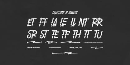 Polar Guide Font | Webfont & Desktop | MyFonts