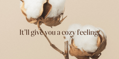 STM Gabriella Font | Webfont & Desktop | MyFonts