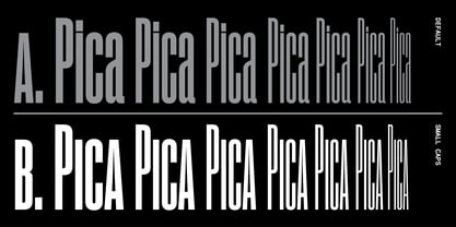 Coign Font | Webfont & Desktop | MyFonts