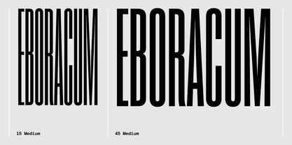 Coign Font | Webfont & Desktop | MyFonts