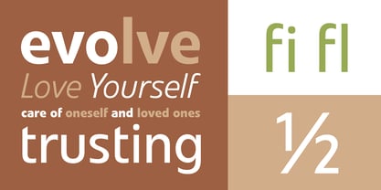 Evo Font | Webfont & Desktop | MyFonts