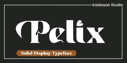 Pelix Font | Webfont & Desktop | MyFonts
