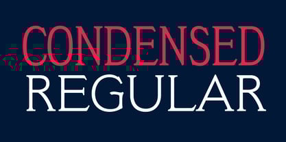 Meyer Two Font | Webfont & Desktop | MyFonts