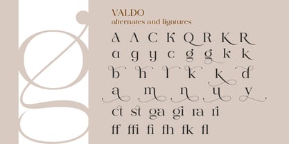 Valdo Font | Webfont & Desktop | MyFonts