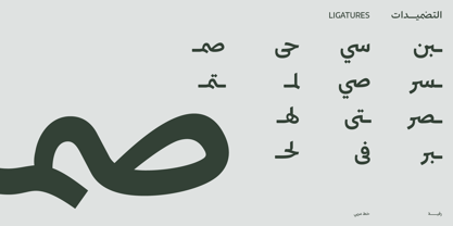 Ruqia Arabic Font | Webfont & Desktop | MyFonts