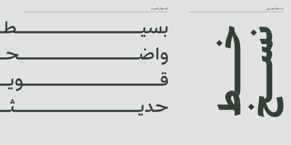 Ruqia Arabic Font | Webfont & Desktop | MyFonts