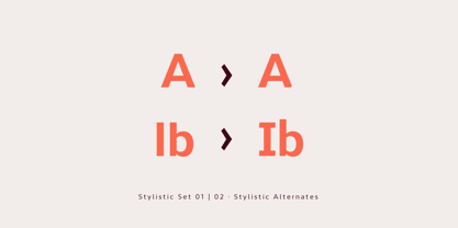 The Main Font | Webfont & Desktop | MyFonts