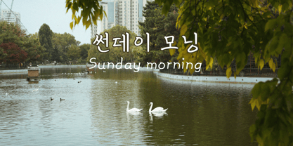 Pln Documentaryche Font | Webfont & Desktop | MyFonts