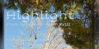 Sonata Allegro Font | Webfont & Desktop | MyFonts