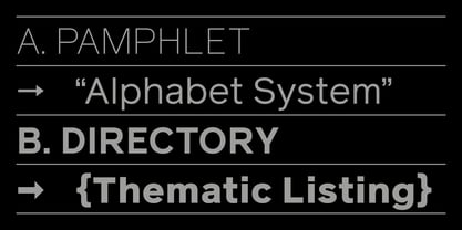 Reader Font | Webfont & Desktop | MyFonts