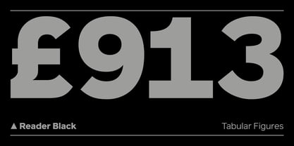Reader Font | Webfont & Desktop | MyFonts