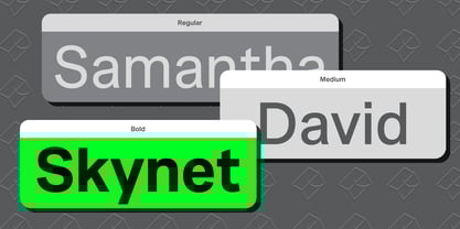 Robin Font | Webfont & Desktop | MyFonts